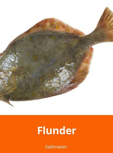 Flunder | Gesunde nahrungsmittel, Backfisch rezept, Fischrezepte