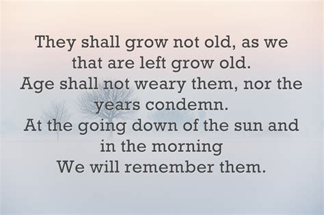 Remembrance Sunday Literotica Discussion Board