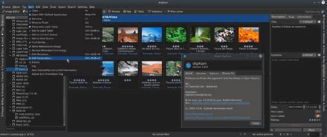 🏆 8 best photo and image tagging software in 2024 boost your visual