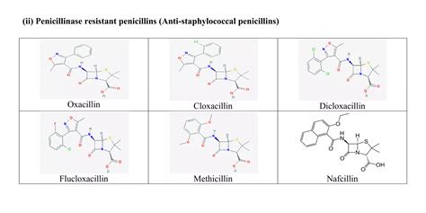 Penicillins Pdf