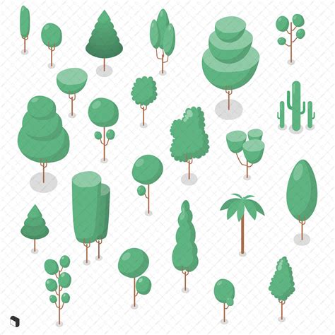 Axonometric Trees Axonometric Drawing Landscape Architecture Drawing Tree Illustration