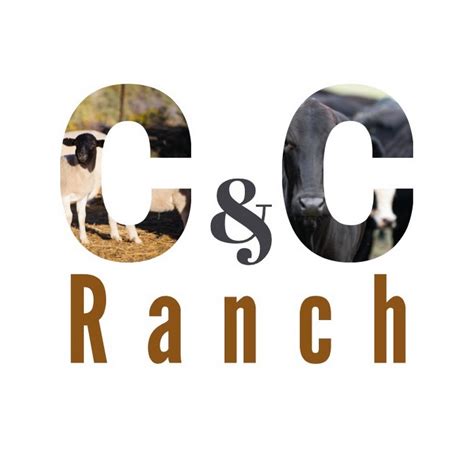 C C Ranch YouTube