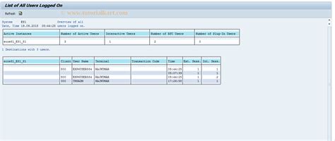 Al Sap Tcode Users Logged On