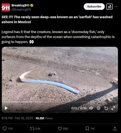 Doomsday Fish Resurfaces In Mexico—why Is It A Bad Omen