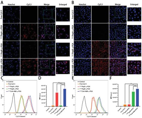 Dual Cellular Uptake In Vitro A CLSM Images Of AsPC1 Cells After Download Scientific Diagram