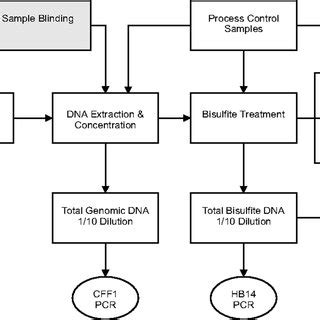 Sample Processing Workflow The Diagram Depicts The Major Sample Download Scientific Diagram