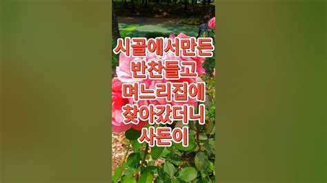 시골에서 만든 반찬들고 며느리집 찾아간 시어머니 Youtube