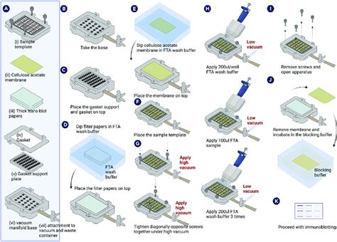 schematic overview of filter trap assay procedure download scientific