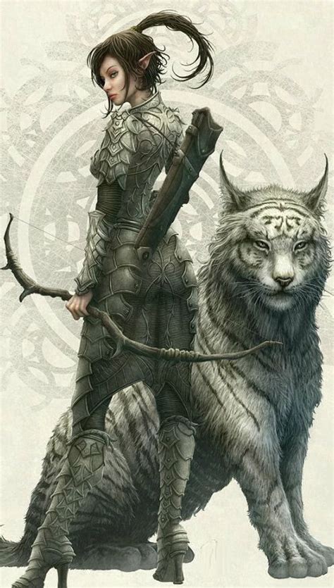 Elfkrijger En Tijger Mythologische Wezens Fantasiepersonages