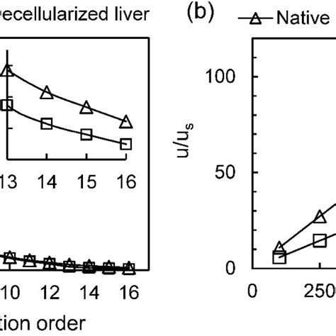A Schematic Of The Vascular Perfusion Seeding And Enlarged Image Of A