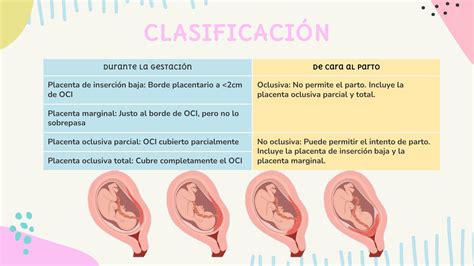 Tipos De Placenta Previa