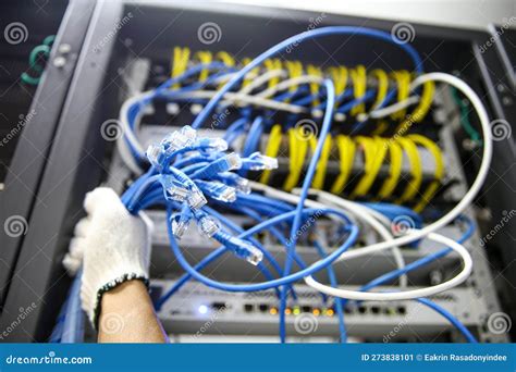Hand Choose Lots Of RJ45 UTP Cat6 LAN Internet Network Cable Fiber Optic And Lots Of Ethernet