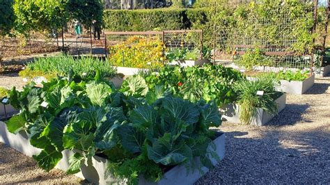 How To Design A Kitchen Garden French Potager