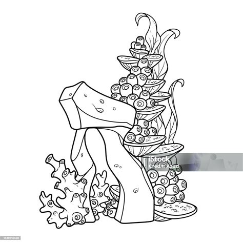 조류 스폰지 와 산호는 흰색 배경에 고립 된 그림 돌 색칠 공부 선형 그림에 성장 깊은에 대한 스톡 벡터 아트 및 기타 이미지