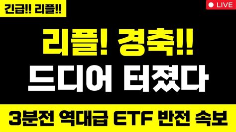 리플 미쳤습니다 리플 경축 드디어 터졌다 대박입니다 3분전 역대급 Etf 반전속보 Xrp 하늘까지 올라요 리플 리플코인