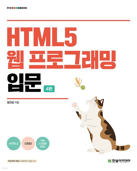 html5 웹 프로그래밍 입문 예스24