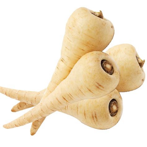 Parsnip Veggies Info Veggies Info