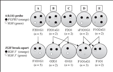 Comparison Of Igh Profile Signals Using T414 And Igh Break Apart