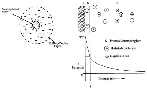 Schematic Representation Of The Double Layer And Potential Drop Across