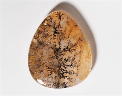 Quartz With Dendrite Inclusions Landscape The Tree And The Forest 27x23