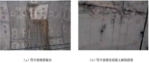 书馆 隧道网