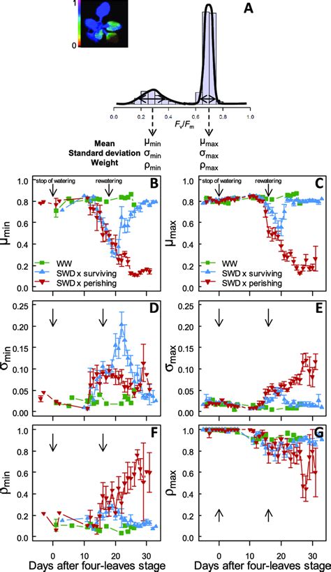 Dynamics Of The Parameters Describing The Bimodal Distributions A