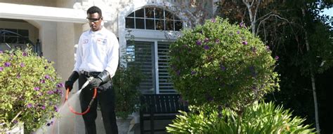 When To Call Pest Control Professionals Team Pest Usa