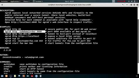 How To Install Ngrok On Kali Linux