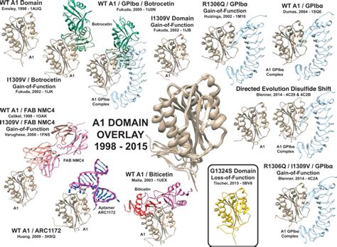 Overlay Of Vwf A1 Domain Structures Available From The Protein Data