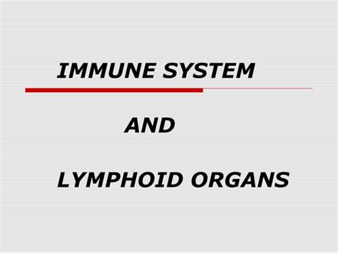Histology Of Lymph Nodelymph Node Histology Pptx