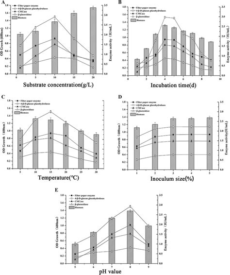 The Effects Of Cultivation Parameters On Cold Active Enzyme Activities
