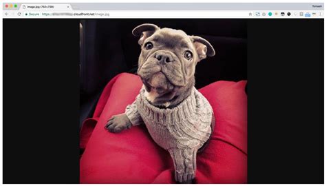 Amazon S3 Amazon CloudFront A Match Made In The Cloud Networking Content Delivery