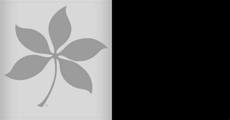 Seminar Series Yuan Zhang Department Of Statistics