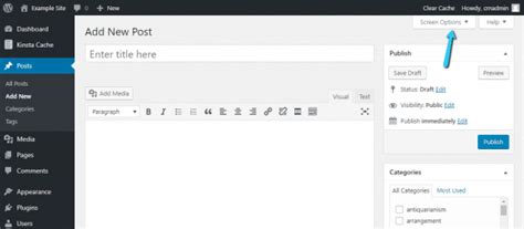 What Is A WordPress Excerpt Tips And Tricks