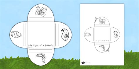 Butterfly Life Cycle Interactive Visual Aid Twinkl