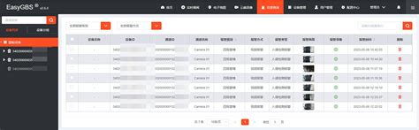 国标视频平台easygbs国标云服务平台如何实现实时视频抓图功能 国标视频软件 csdn博客