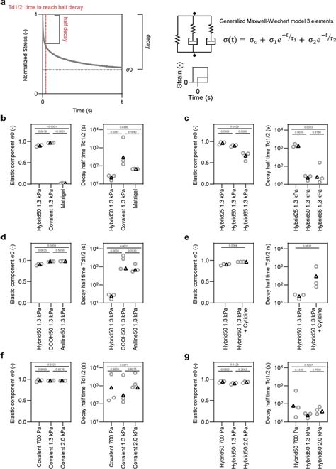 Stress Relaxation Curve Fitting Parameters A Determination Of Curve
