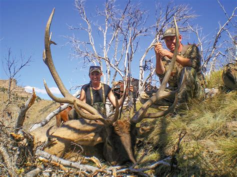 2025 Utah Mt Dutton Bull Elk Conservation Permit Hunters Choice Of