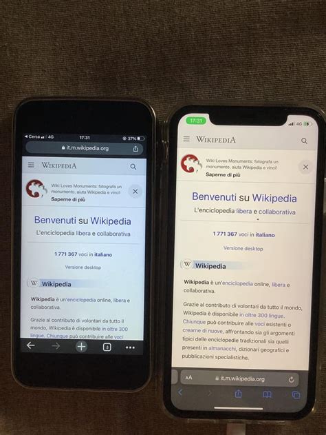 The Screen Of My Iphone 11 Is Yellowish And The Brightness Is Almost Always Really Low Ive Had