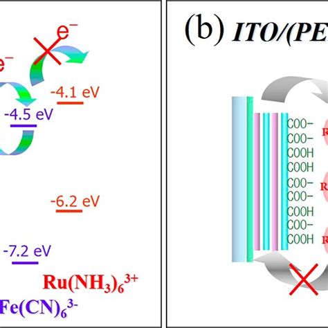 Scheme 1 Schematic Graphs And Energy Diagrams Of The Ionic Bilayer On