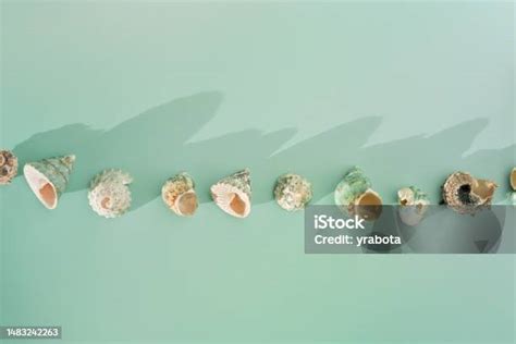 햇빛 조개껍데기 파란색 민트색 폰에 소라 세련된 정물 여름 바다 테마 추상 자연 평면 누워 복사 공간 태양에서 플레어 그라데이션 광학 작용에 대한 스톡 사진 및 기타 이미지