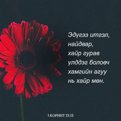 Хайрын бэлэг