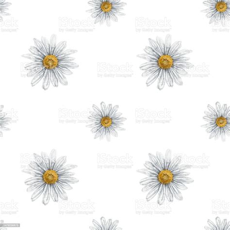 흰색 카모마일이 있는 매끄러운 손으로 그린 패턴 섬유 직물 배너 포장지 및 기타 디자인에 대 한 꽃 배경 흰색 바탕에 디지털