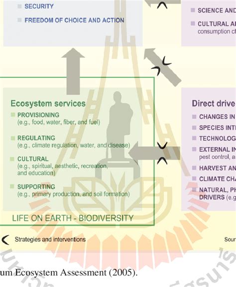 5 Millennium Ecosystem Assessment Conceptual Framework Of Interactions Download Scientific Diagram