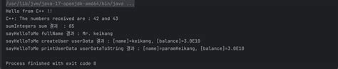 Jni Java Native Interface