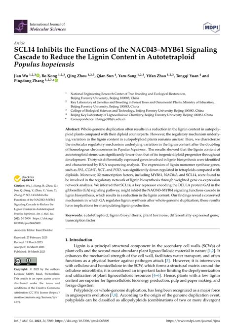 Pdf Scl14 Inhibits The Functions Of The Nac043myb61 Signaling