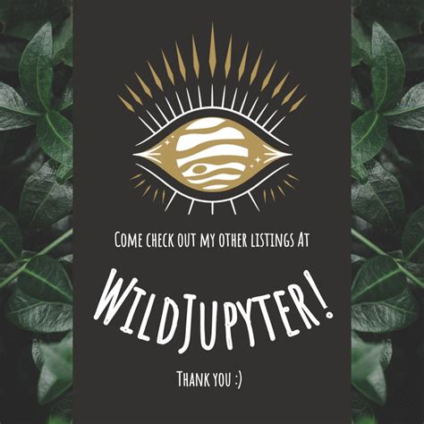 Dungeons And Dragons Cat Png Dnd Png Dandd Png Cat Png Rpg Etsy