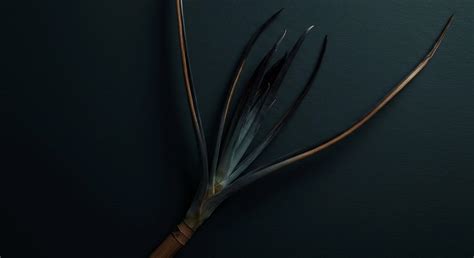 Regulatory Landscape Adaptation → Term