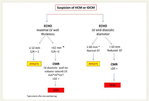 Proposed Eacvi Algorithm For Differential Diagnosis Between Athletes Download Scientific