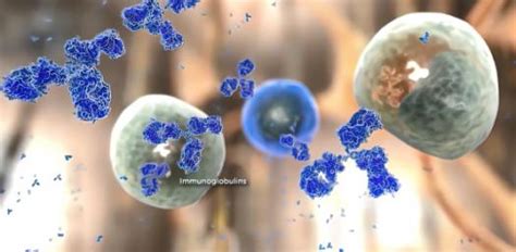 Complement System Mcq Quiz Trivia And Questions